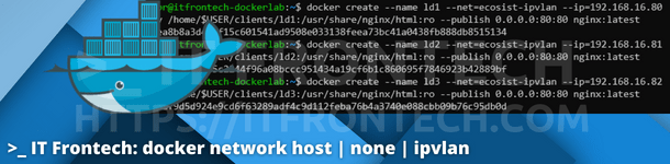 Docker para Inexpertos (como yo!) - Parte Cinco: Docker network host, none y ipvlan - >_ IT Frontech